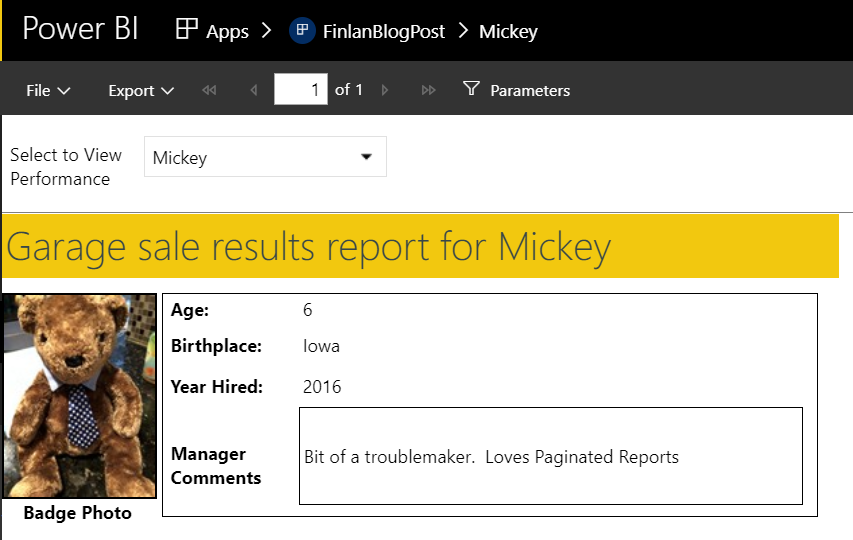 Paginated Reports now supported in Apps in Power BI | Microsoft Fabric ...